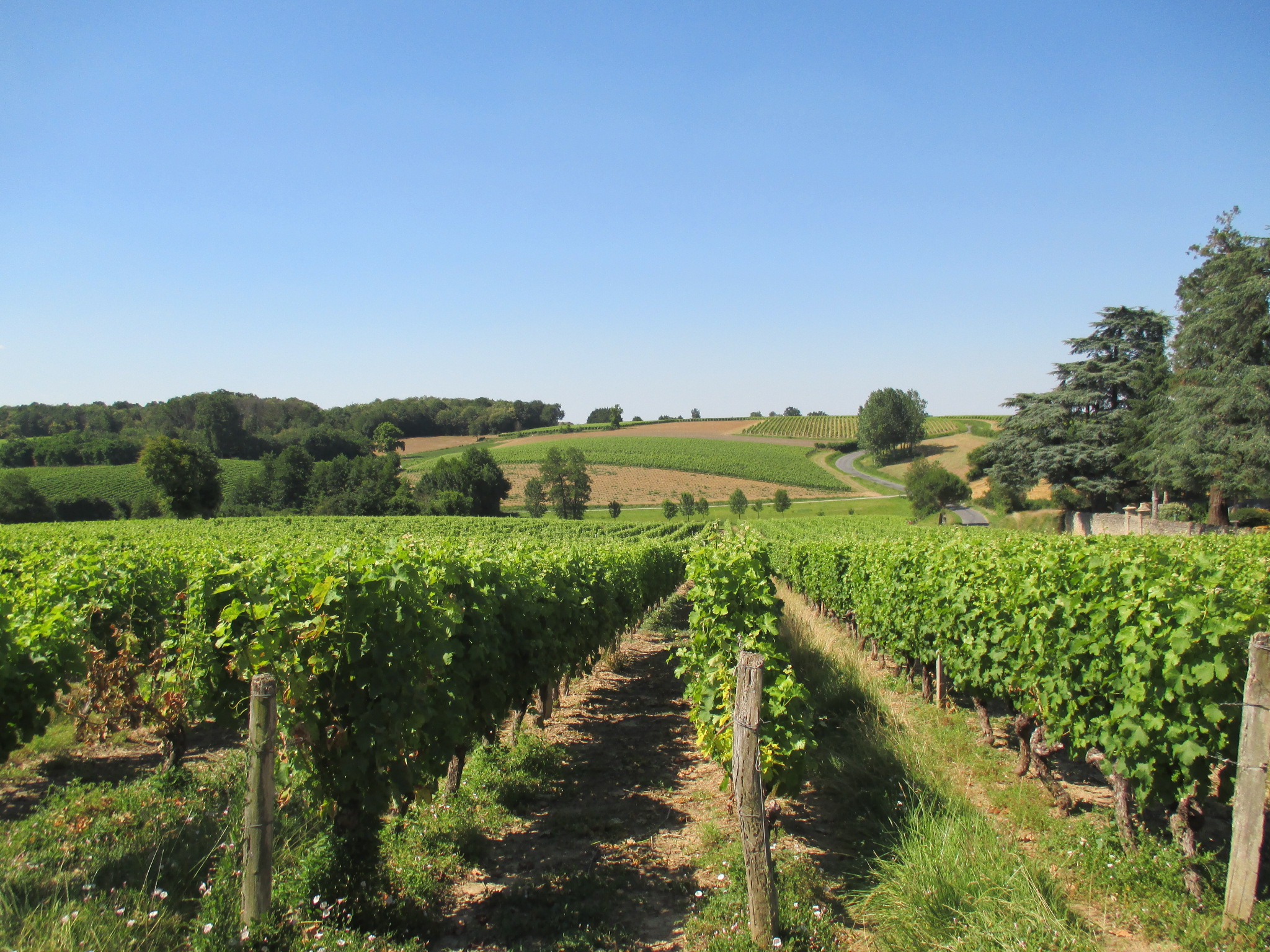 Au cœur du Vignoble Surprenant Choletais - 23km - Randonnées pédestres ...