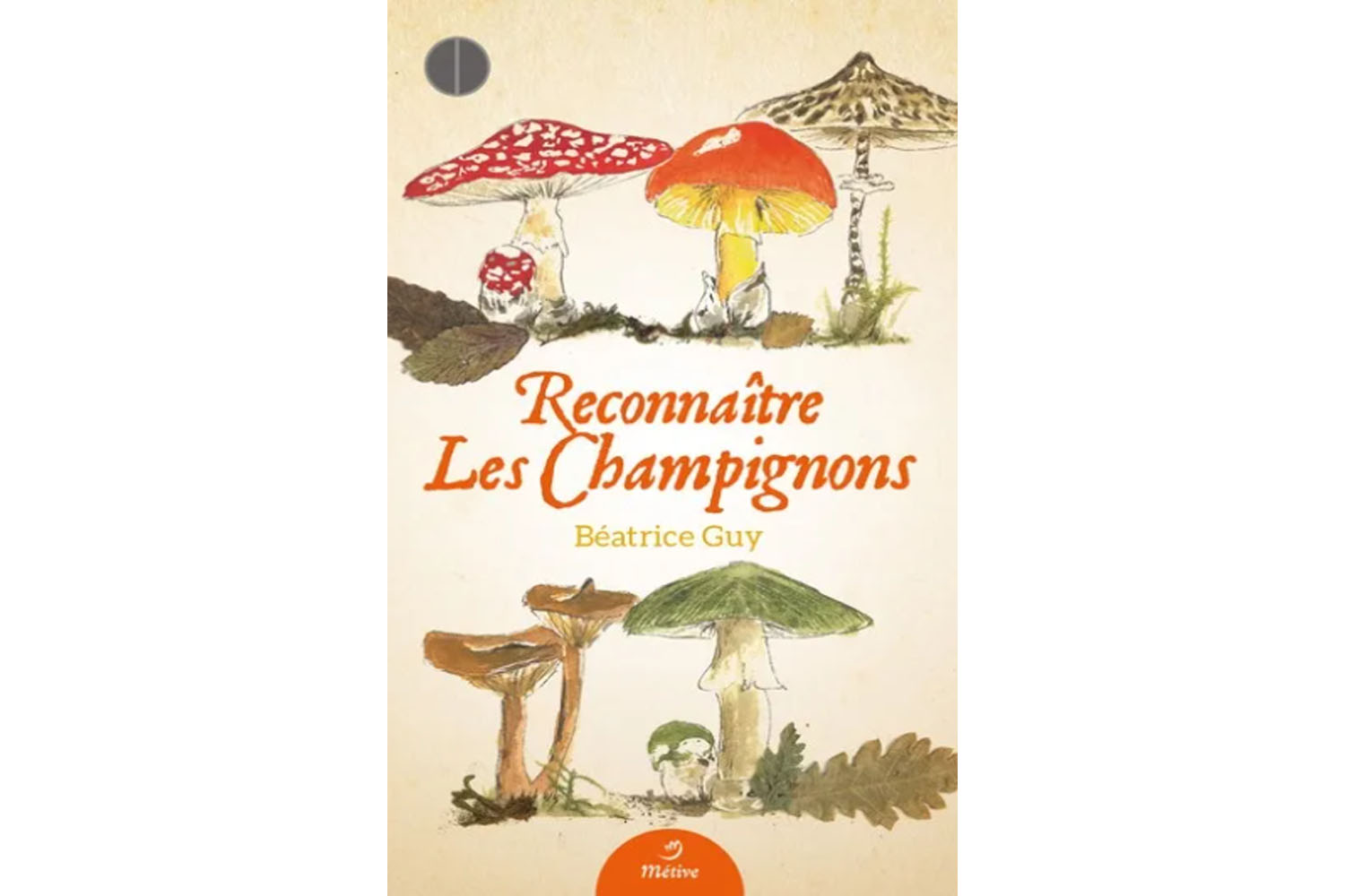 Reconnaître les champignons - Achat en ligne